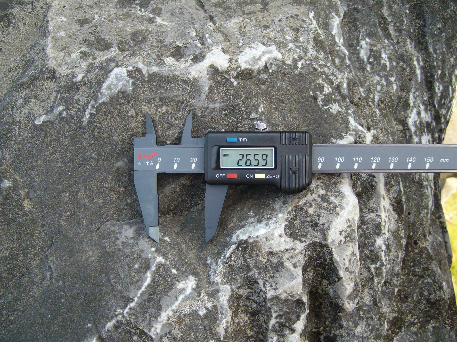 Titanium Coated Caliper