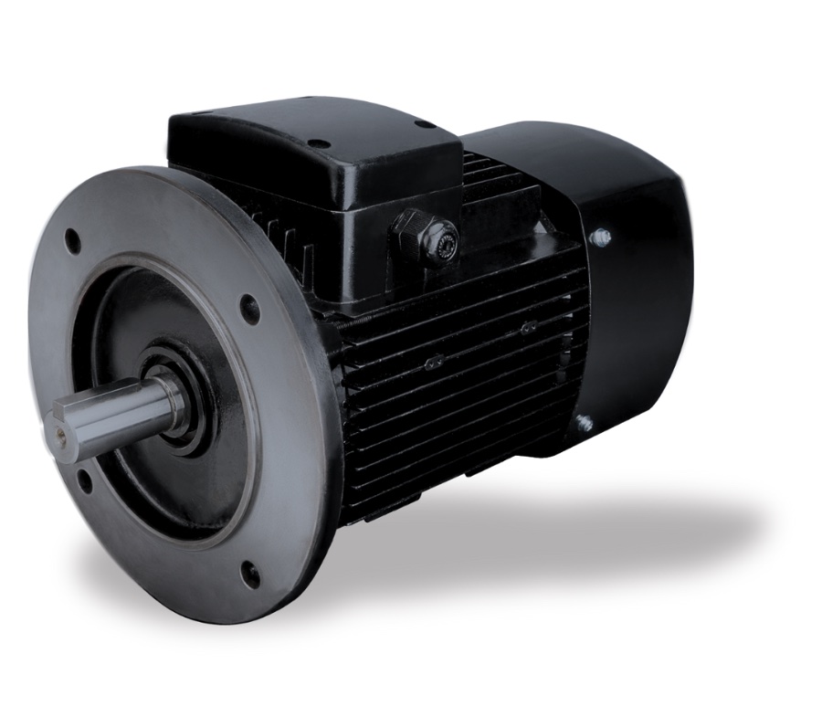Highly Efficient PM Reluctance Motor Series