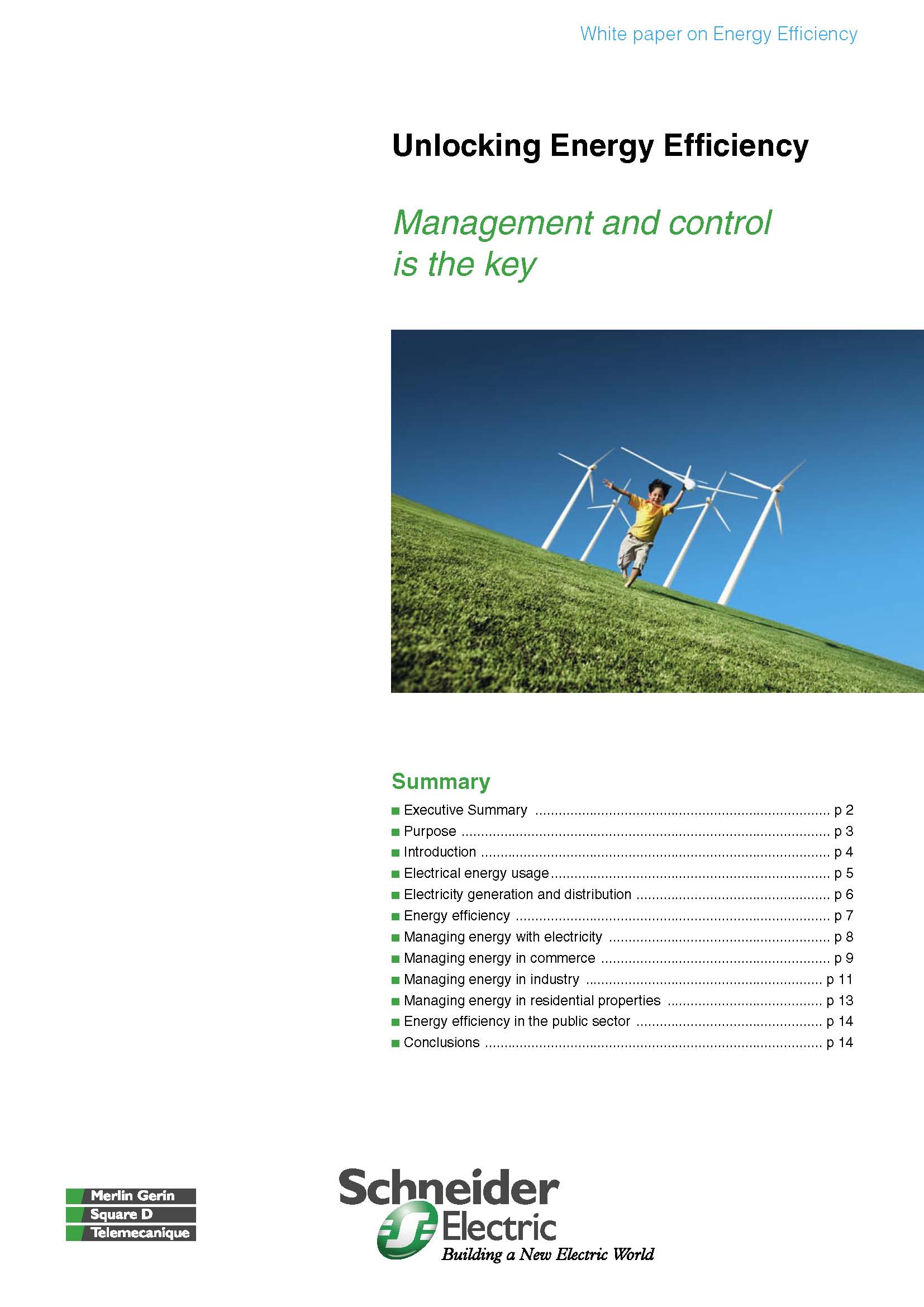 Unlocking Energy Efficiency