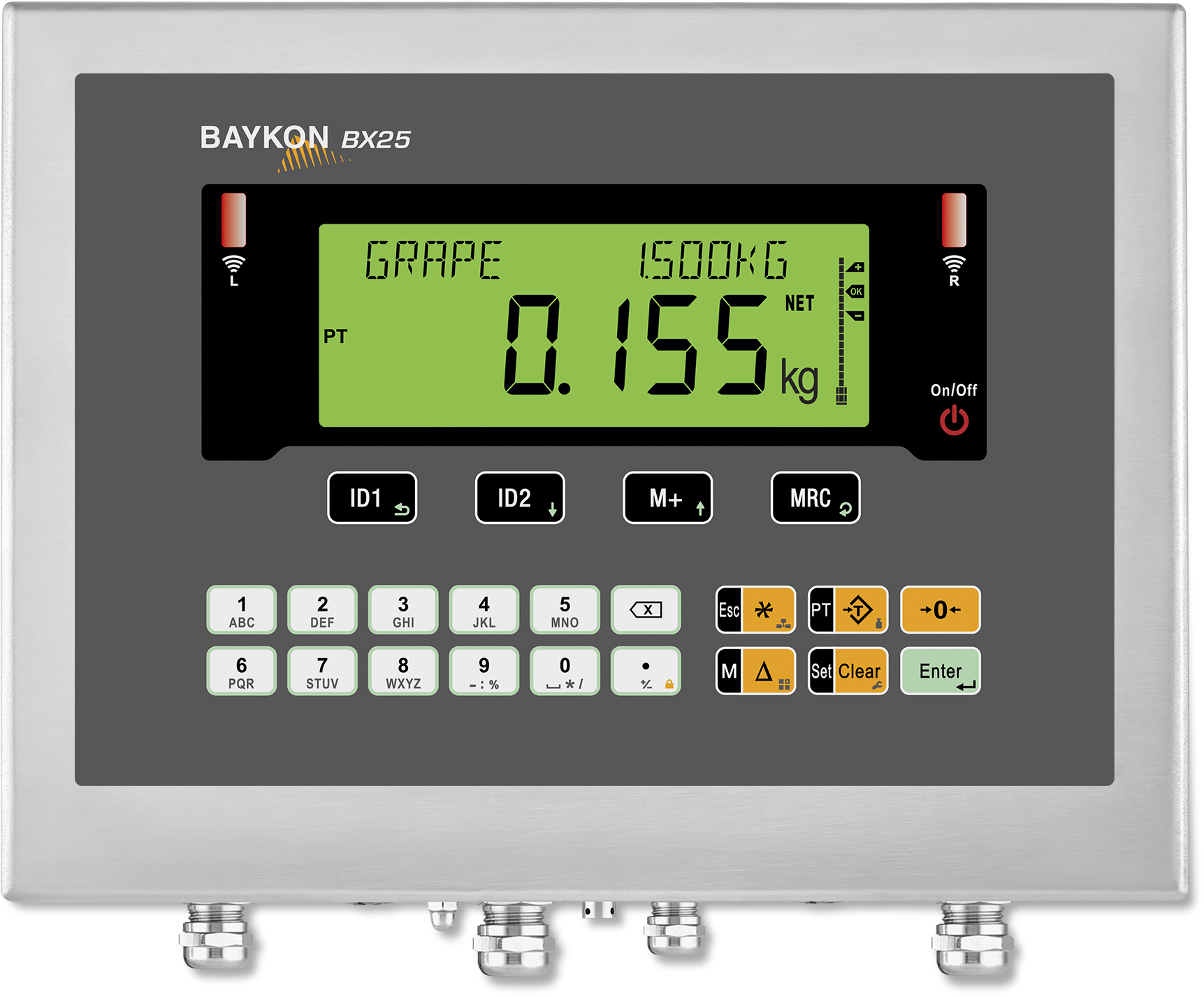 Multifunctional Weighing Terminals